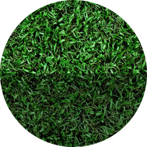 Royce Turf Supplies - London - Garden Lawn Turf Supplier Brentwood ...